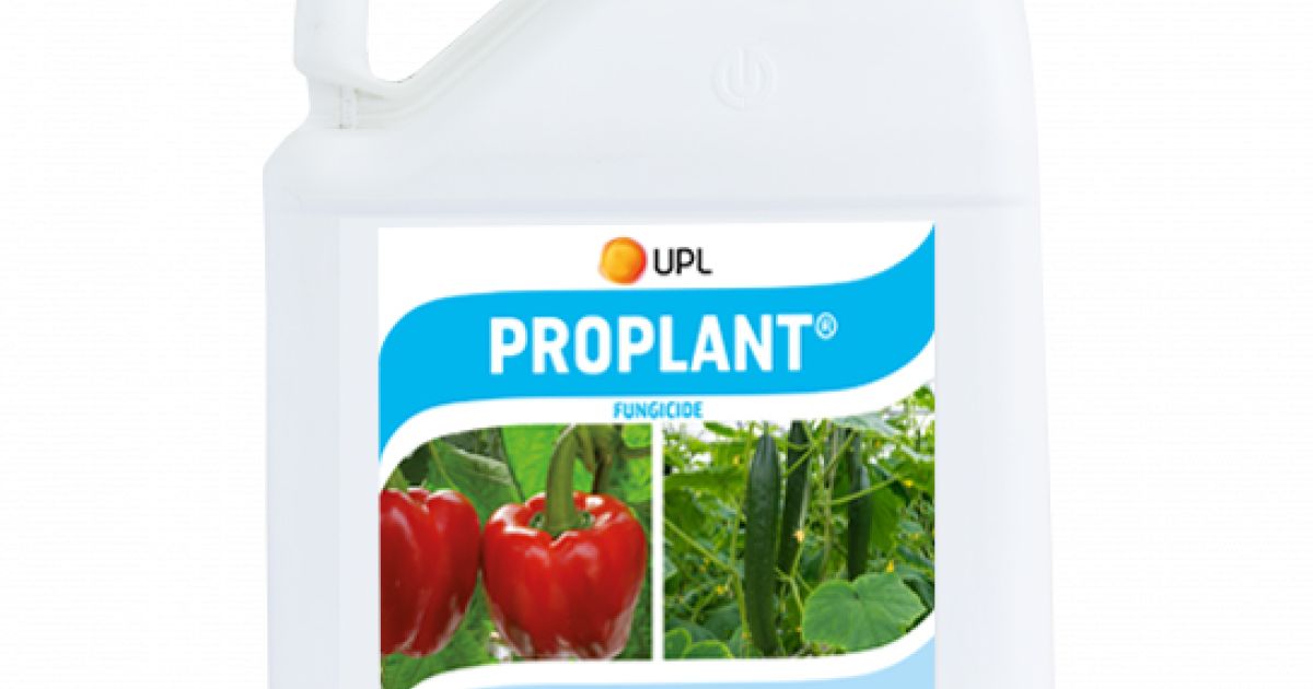 Proplant | 5L | Braecke